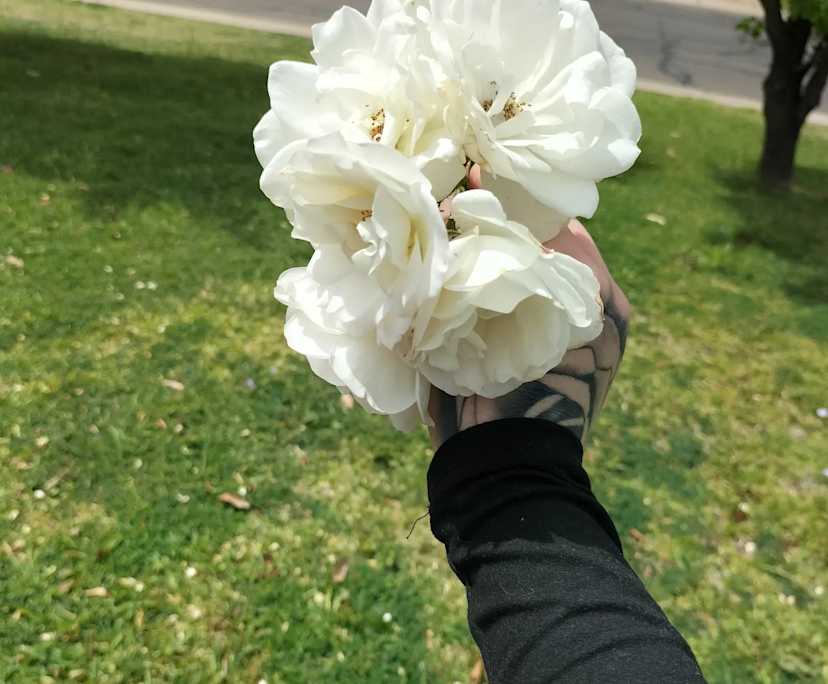 ALICIA (24) - Looking in Mildura | Flatmates.com.au