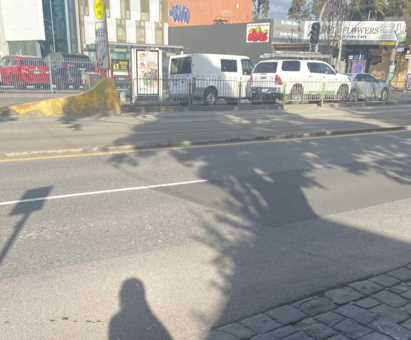 Alina (29) - Looking in Brunswick East and Brunswick | Flatmates.com.au