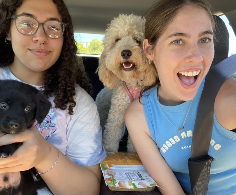 Georgia (19) and Paige (19) - Looking in Redcliffe | Flatmates.com.au