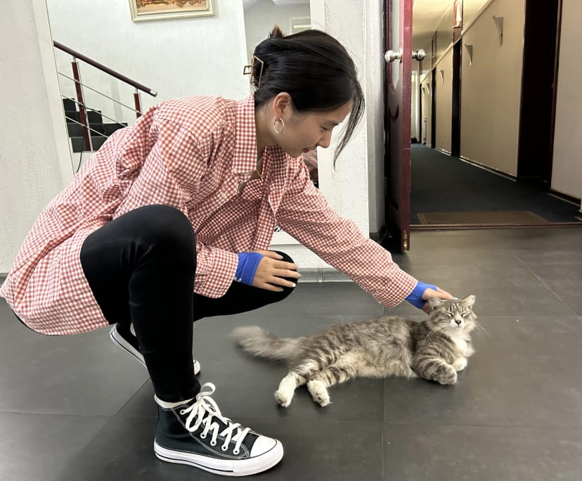 Na Chen (26) - Looking in South Penrith, Saint Marys... | Flatmates.com.au