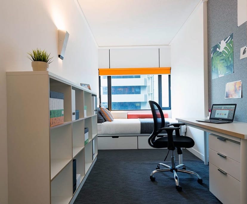 Student Accommodation for Rent in Brisbane City, Bri... | Flatmates.com.au