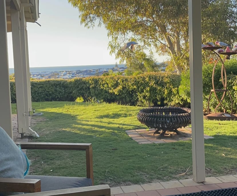 Homestay for Rent in Singleton, Perth | $350, Flexib... | Flatmates.com.au