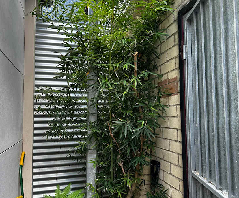 Room for Rent in Glebe, Sydney | $360, Furnished, Sh... | Flatmates.com.au
