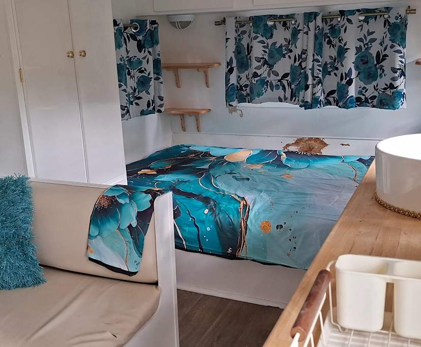 Room for Rent in Glenview, Sunshine Coast | $280, Fu... | Flatmates.com.au