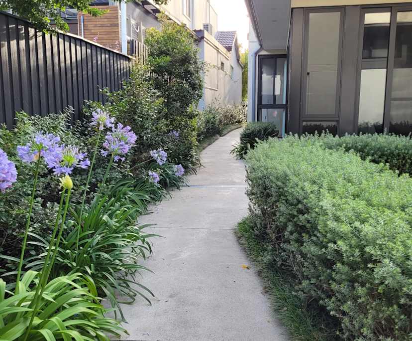 Studio for Rent in Randwick, Sydney | $645, Flexible... | Flatmates.com.au