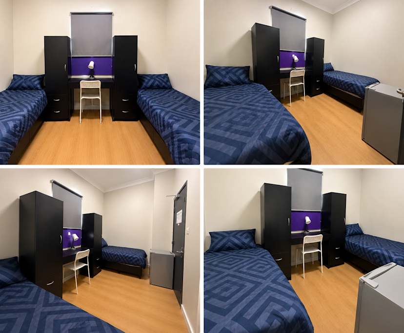 Shared Room for Rent in Chippendale, Sydney | $325, ... | Flatmates.com.au