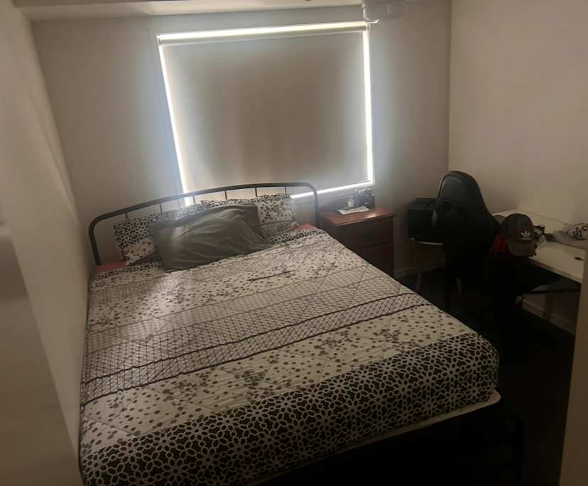 Room for Rent in Buderim, Sunshine Coast | $255, Fur... | Flatmates.com.au