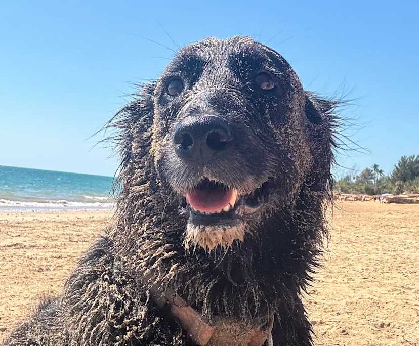 2 Rooms for Rent in Rosebery, Darwin | $280, Unfurni... | Flatmates.com.au