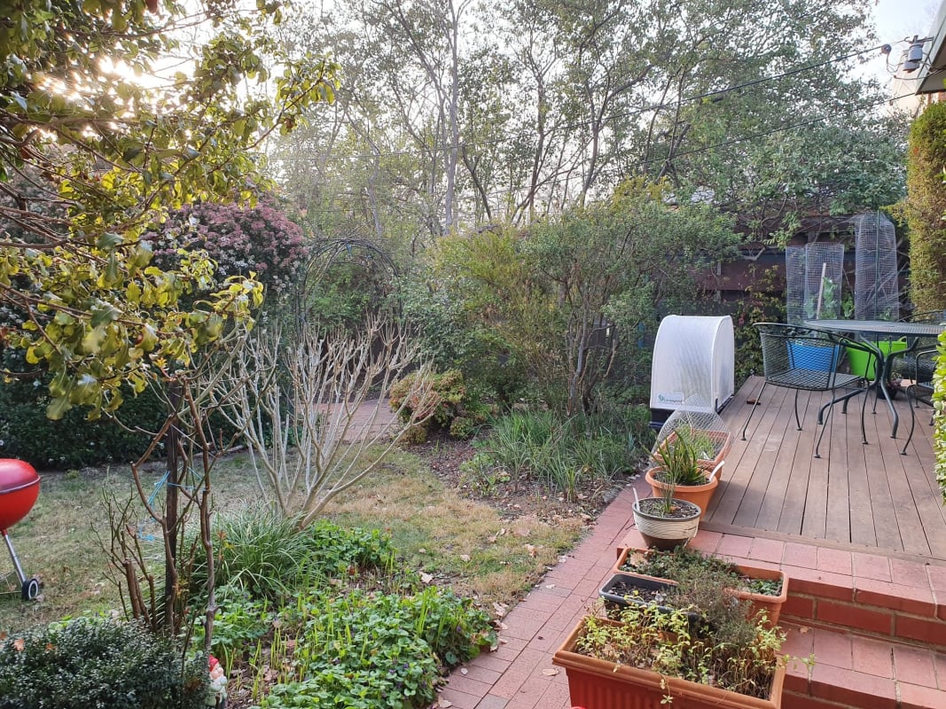 Room for Rent in Reid, Canberra | $175, Unfurnished,... | Flatmates.com.au