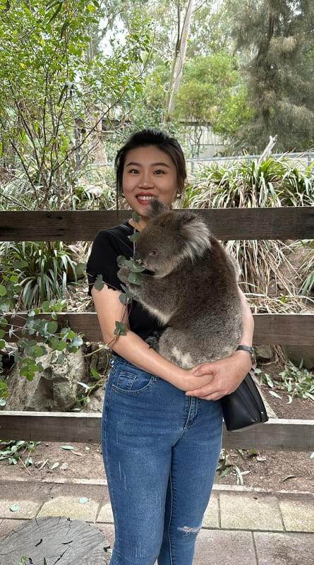 Ann Peng (25) - Looking in Balwyn, Hawthorn, Richmon... | Flatmates.com.au