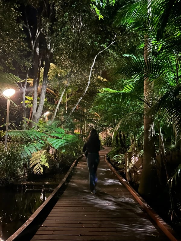 Hailey (21) - Looking in MacGregor, Macgregor, Green... | Flatmates.com.au