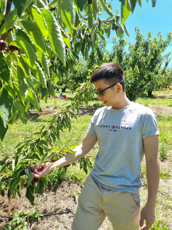 Dean (25) - Looking in Bendigo | Flatmates.com.au