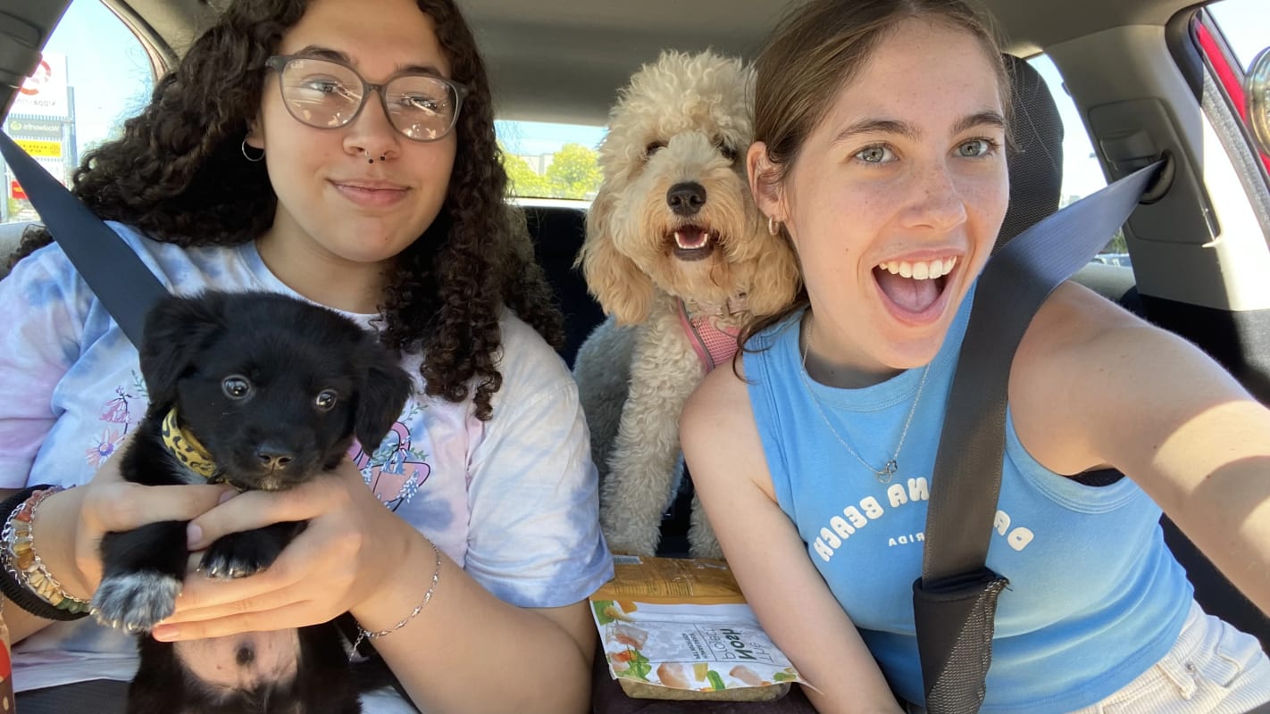 Georgia (19) and Paige (19) - Looking in Redcliffe | Flatmates.com.au