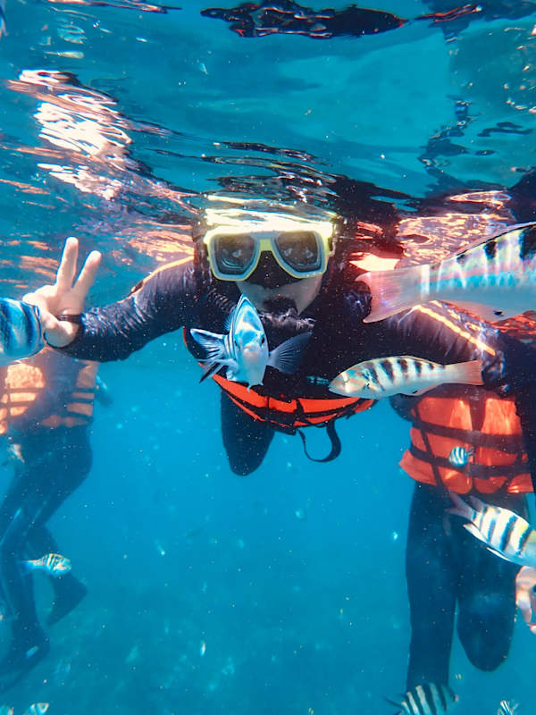 Jason Liu (29) - Looking in Melbourne | Flatmates.com.au