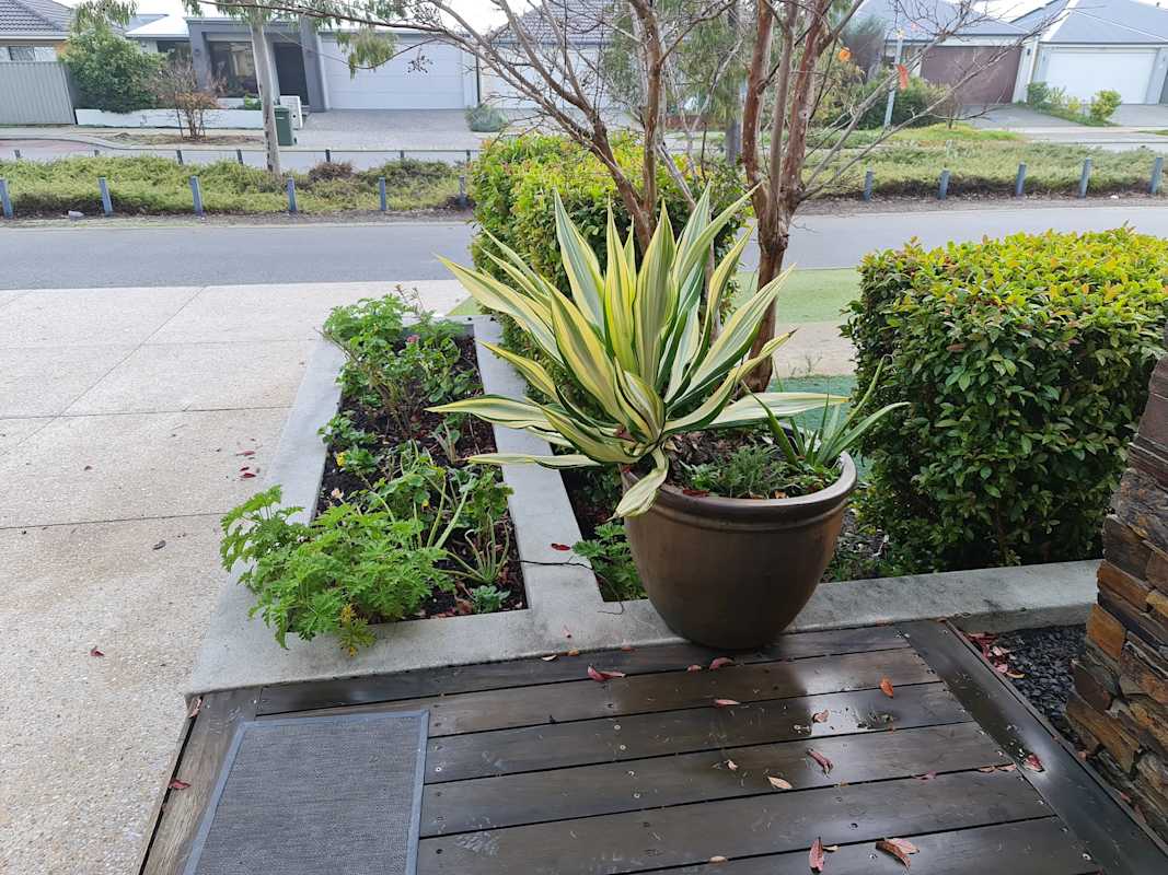 Room for Rent in Harrisdale, Perth | $400, Furnished... | Flatmates.com.au