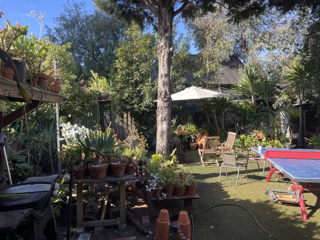 Room for Rent in Brunswick West, Melbourne | $250, F... | Flatmates.com.au