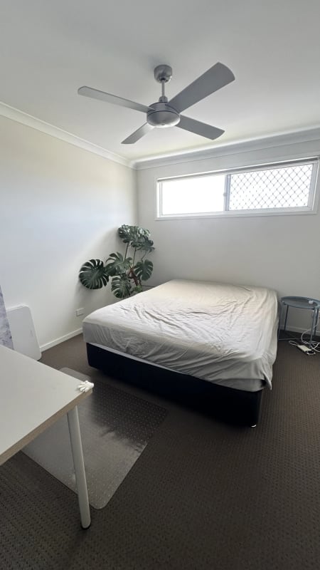 Room for Rent in Spring Mountain, Brisbane | $250, F... | Flatmates.com.au