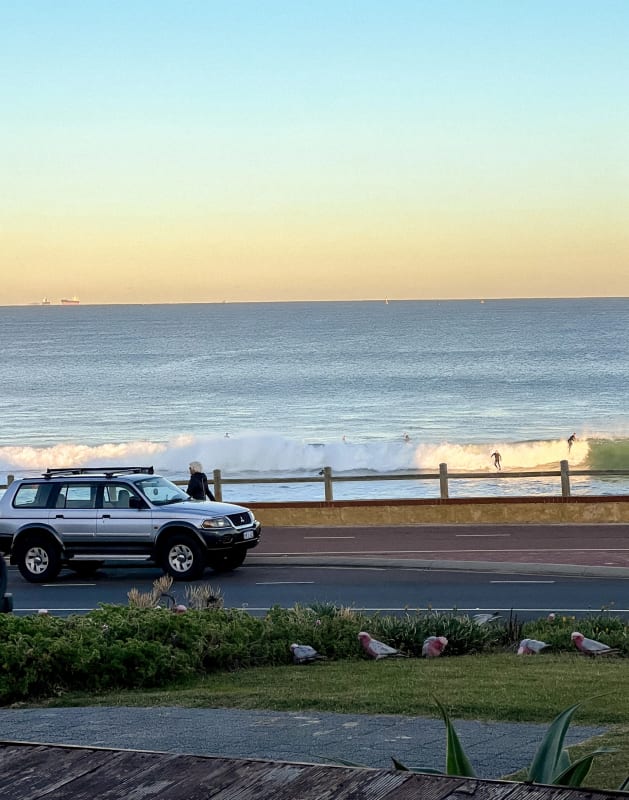 Room for Rent in North Beach, Perth | $225, Unfurnis... | Flatmates.com.au