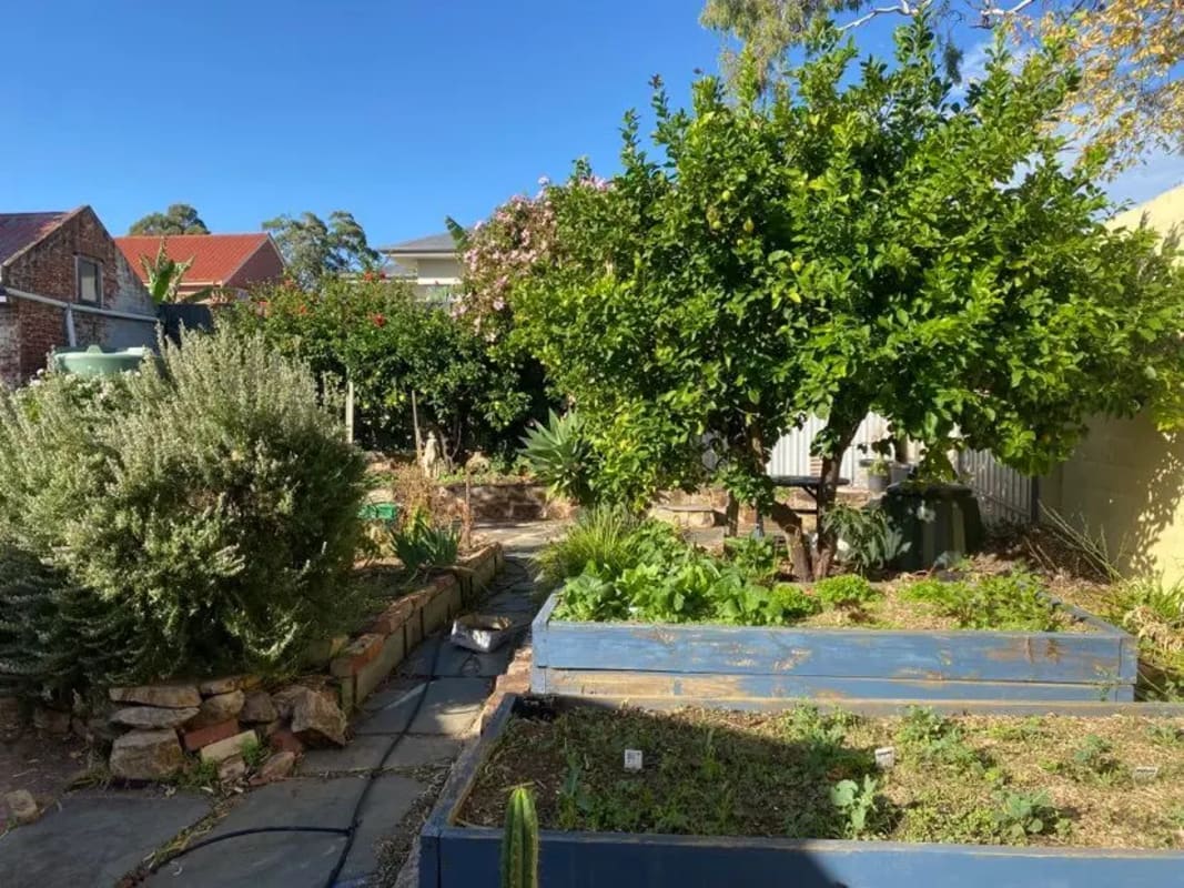 Room for Rent in Erindale, Adelaide | $155, Unfurnis... | Flatmates.com.au