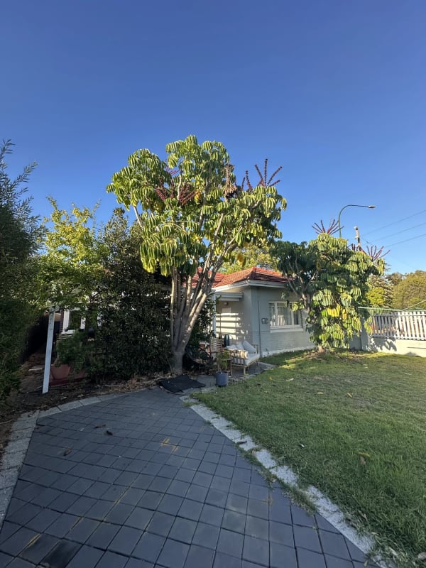 Room for Rent in Wembley, Perth | $220, Flexible wit... | Flatmates.com.au