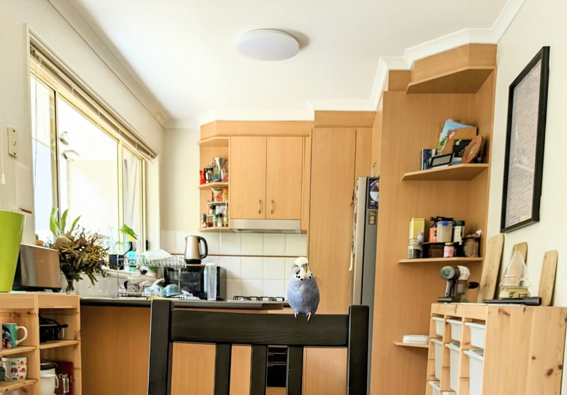 Room for Rent in Watson, Canberra | $189, Unfurnishe... | Flatmates.com.au