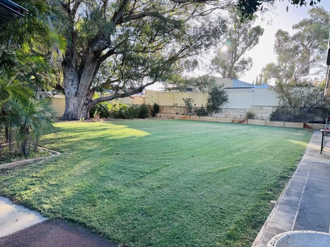 Homestay for Rent in Lakelands, Perth | $220, Furnis... | Flatmates.com.au