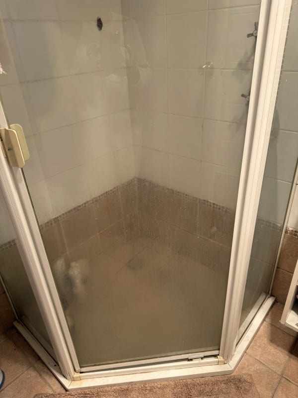 Studio for Rent in Randwick, Sydney | $350, Furnishe... | Flatmates.com.au