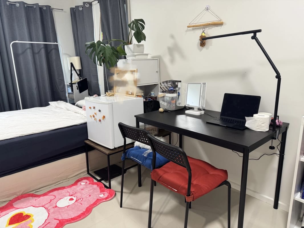 Room for Rent in Reid, Canberra | $210, Furnished, O... | Flatmates.com.au